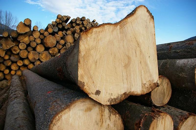 LADIJSKI POD, OPAŽ, BRUNE, ŽAGAN LES, LES ZA OSTREŠJA, ŽAGOVINA, LES IZ ...